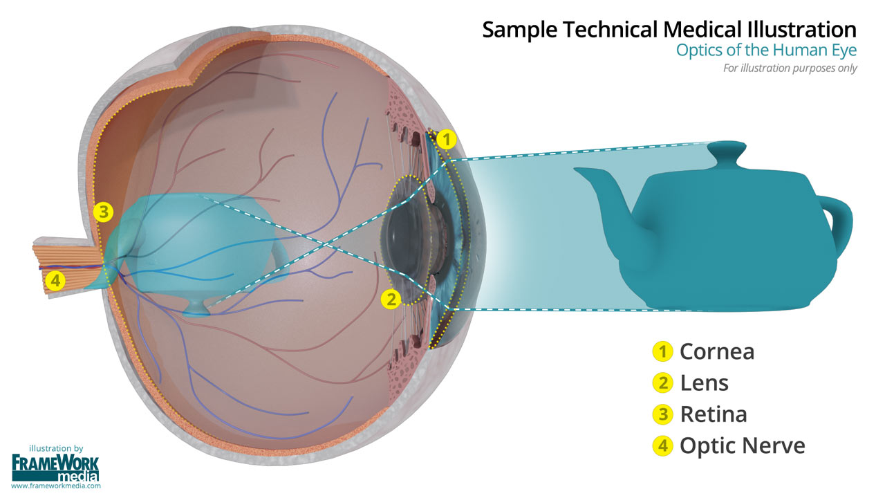 Technical Illustration Services - Product Visualization - Framework Media